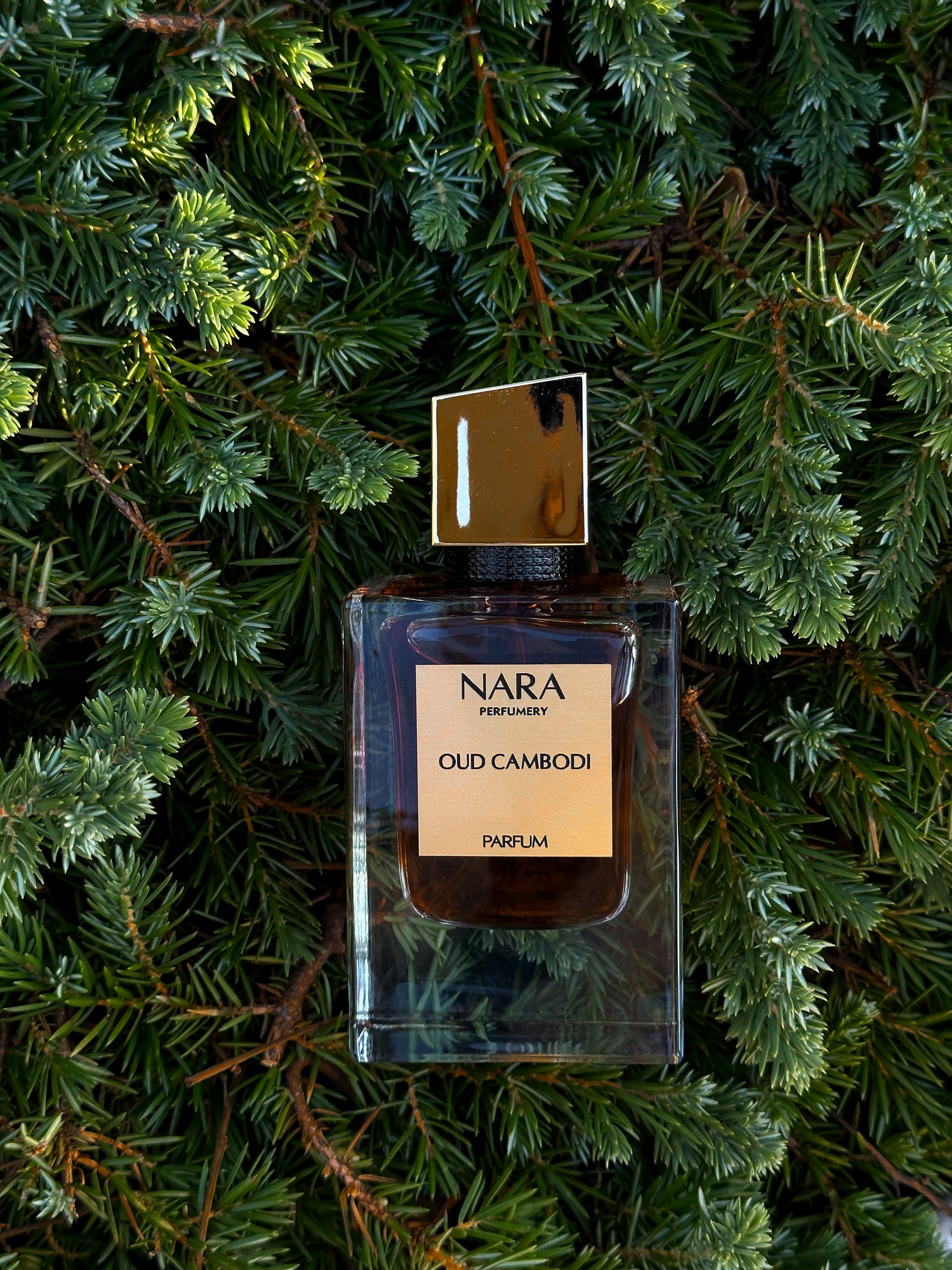 Nara perfumery – Naraperfumery